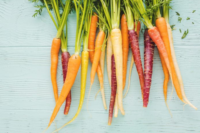 Marchewka – właściwości - Poradnik Apteki Gemini